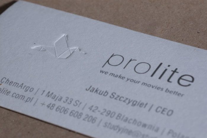 Logo Prolite « Magdalena Tekieli Design